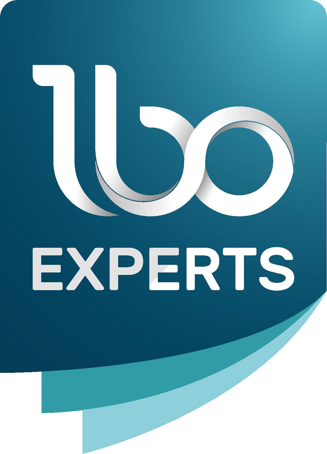 LBO EXPERTS Grenoble - SYNERGA